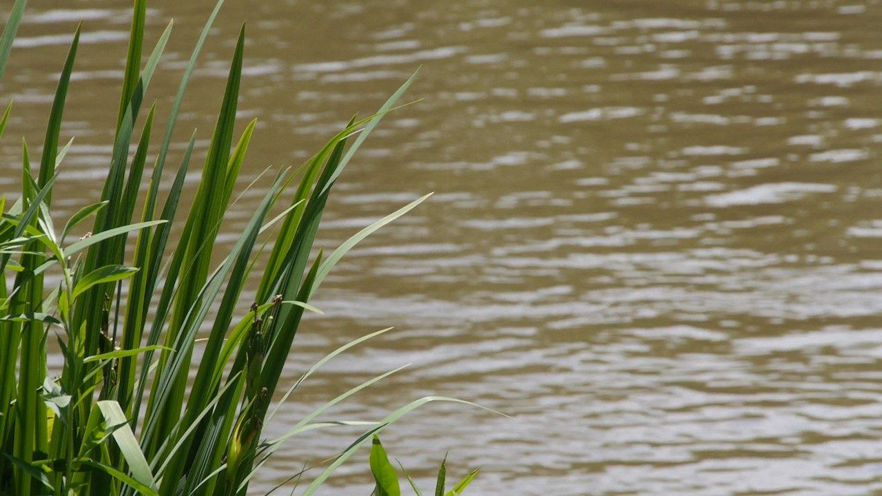 Endicott Police Identify Missing Man Believed To Have Fallen In River