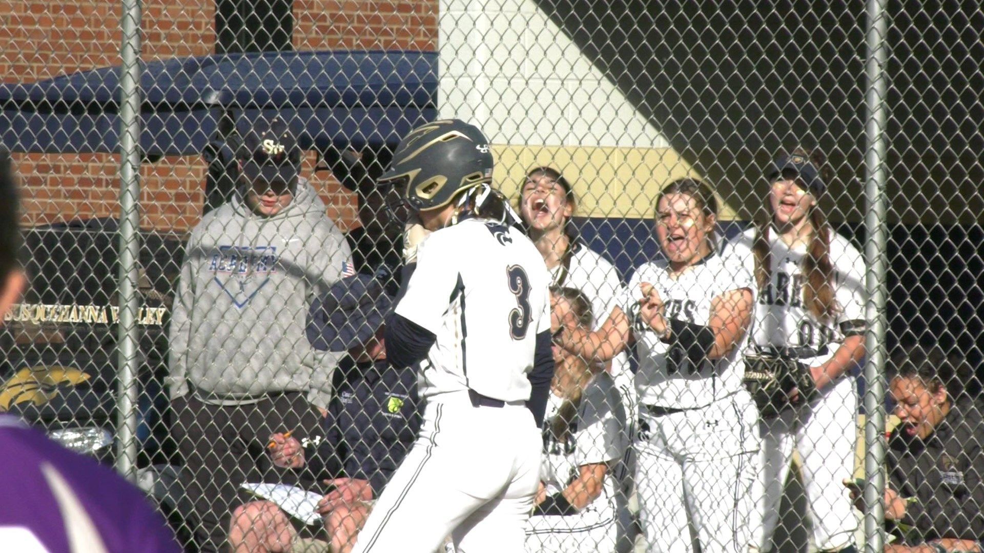 SV Softball Takes Down Norwich - WICZ