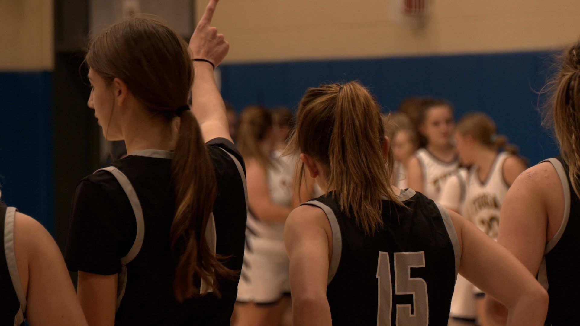 Highlights of Tioga vs. Athens Girl's Basketball - WICZ